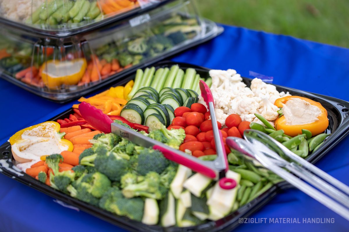 Ziglift’s 5th Annual Company Family Picnic – Ziglift